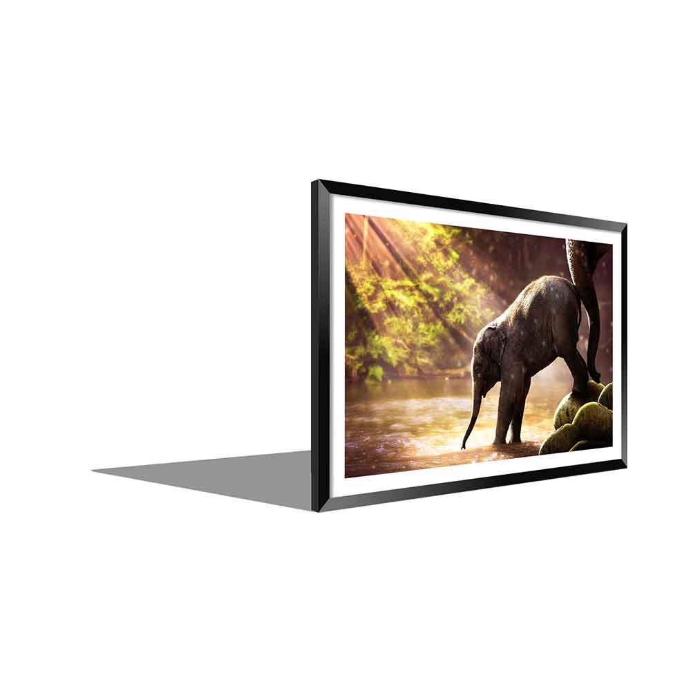 Elephant Photo Frame