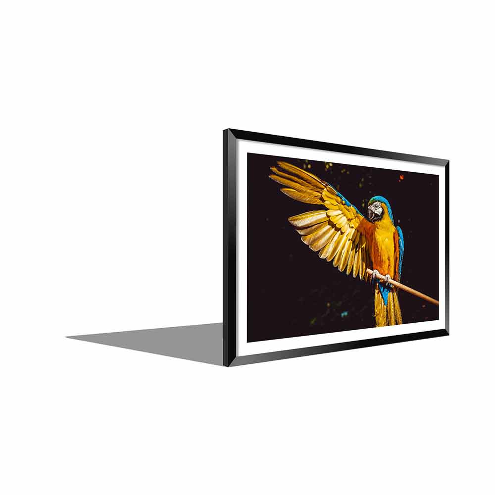 Parrot Wall Photo Frame