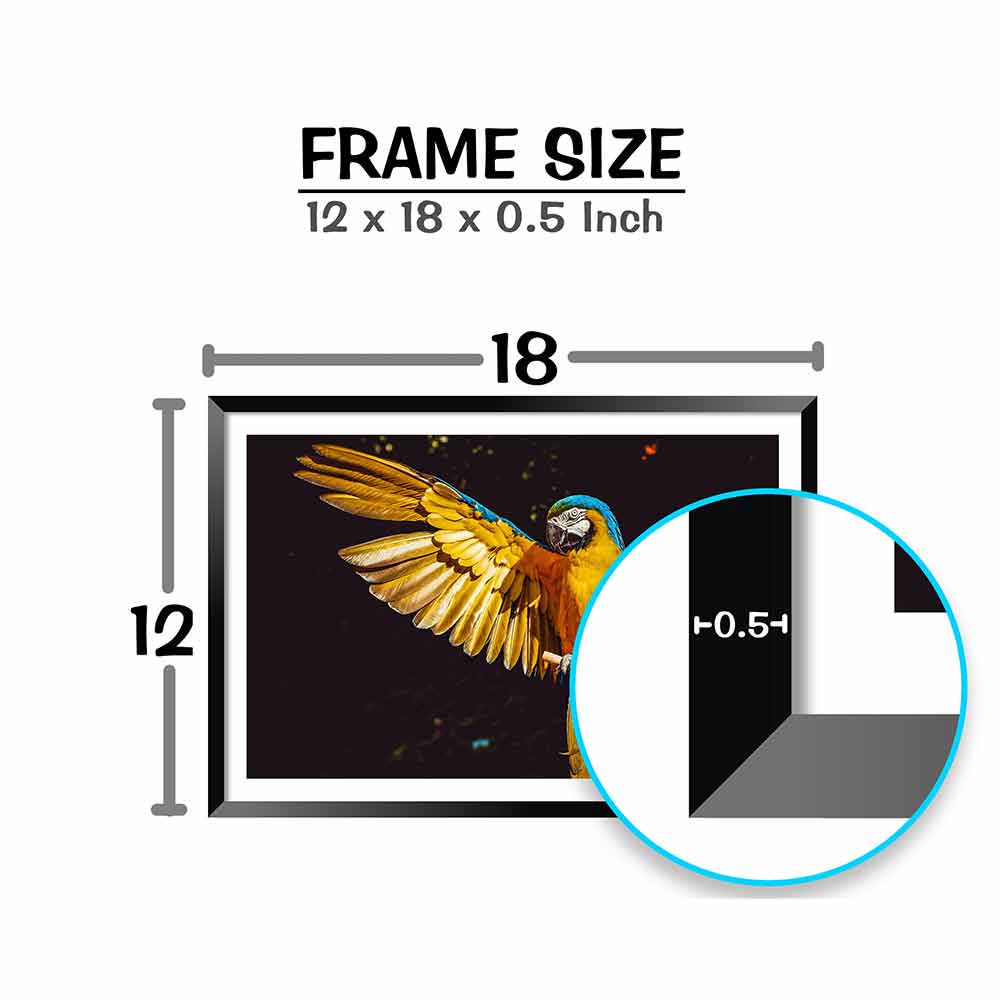 Parrot Wall Photo Frame